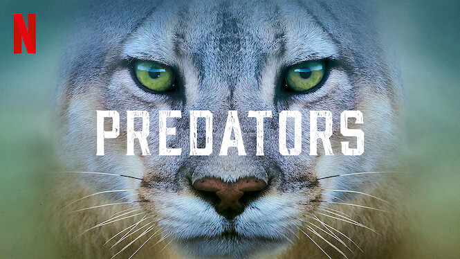 Is 'Predators' on Netflix? Where to Watch the Documentary - New On ...